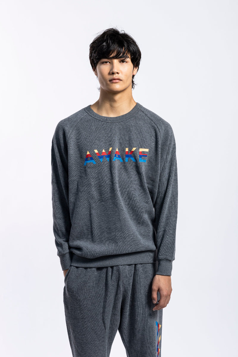 AWAKE LOGO SWEAT TOPS / MEN - GRAY – AWAKE Official Web